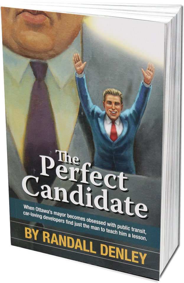 Book: The Perfect Candidate | randalldenley.com